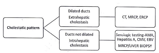 Organ Function Tests - Medical Science Optional Notes for UPSC PDF Download