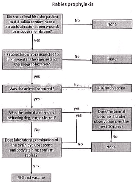 Rabies - Medical Science Optional Notes for UPSC PDF Download