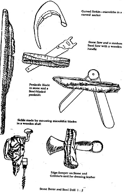 Neolithic (Prehistoric) | Anthropology for UPSC Optional