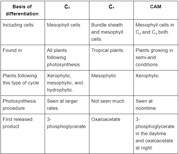C3, C4 and CAM Mechanisms - 1 - Agriculture Optional Notes for UPSC PDF ...