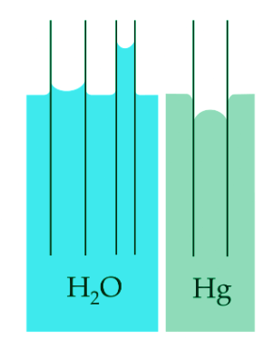 Wetting Agents - Chemistry Optional Notes for UPSC PDF Download