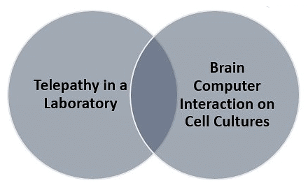 Computer application in the Psychological laboratory and Psychological ...