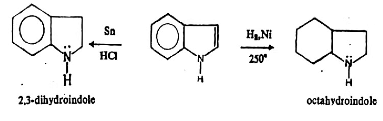 Preparation and Properties of Indole - Chemistry Optional Notes for ...