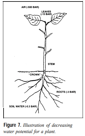 Soil and Water Interactions - Agriculture Optional Notes for UPSC PDF ...