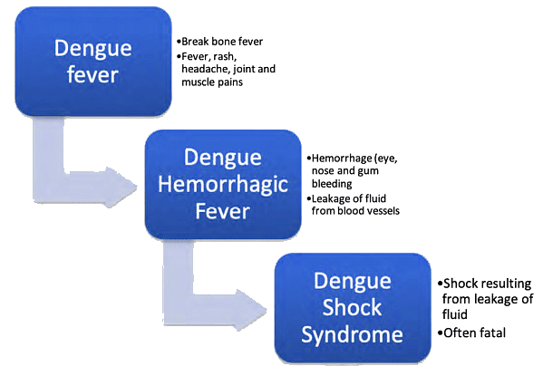 Dengue - Medical Science Optional Notes for UPSC PDF Download