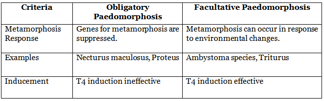 Amphibia: Paedomorphosis - Zoology Optional Notes for UPSC PDF Download
