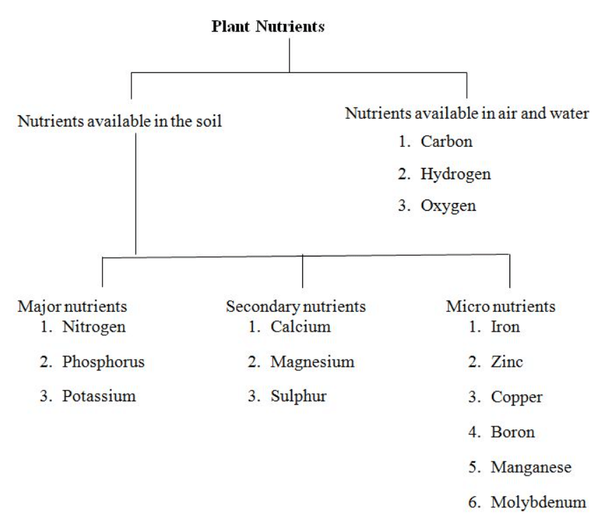 Essential Plant Nutrients - Agriculture Optional Notes for UPSC PDF ...
