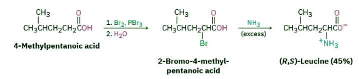 Synthesis of Amino Acids - Chemistry Optional Notes for UPSC PDF Download