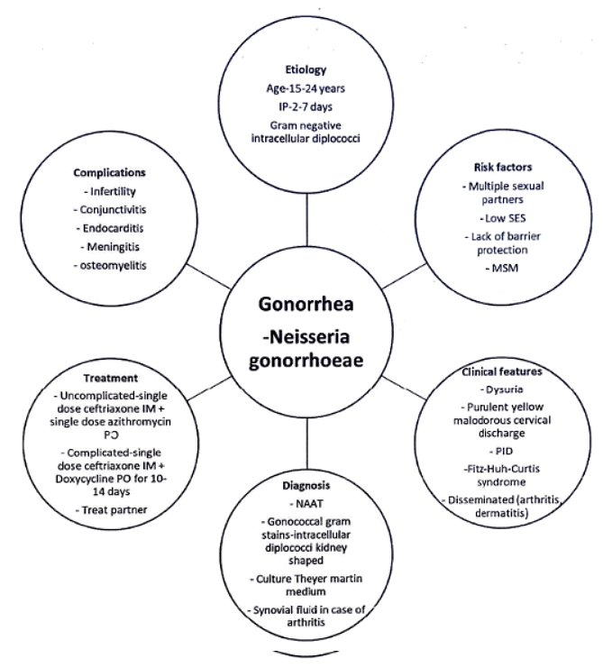Leucorrhea and STDs - Medical Science Optional Notes for UPSC PDF Download