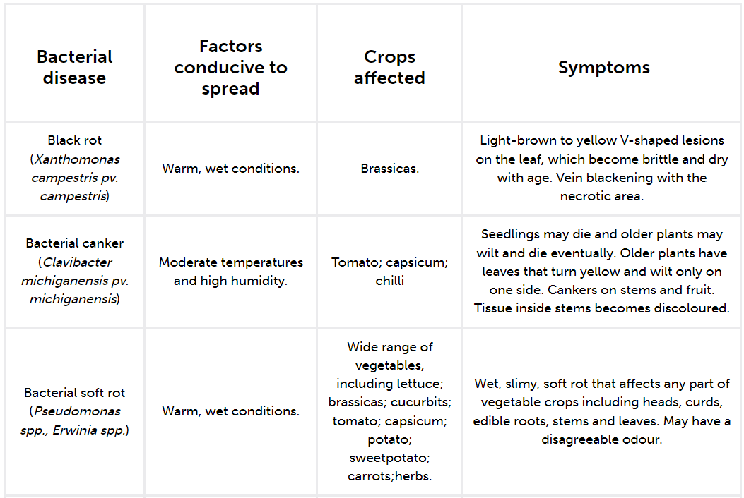 Important Crop Diseases Caused by Bacteria - Botany Optional for UPSC ...