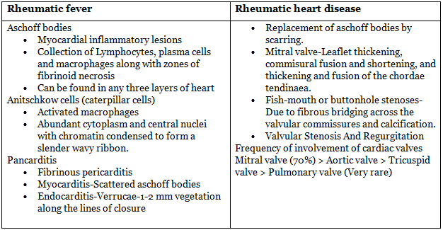 Rheumatic Heart Disease (RHD) - Medical Science Optional Notes for UPSC ...