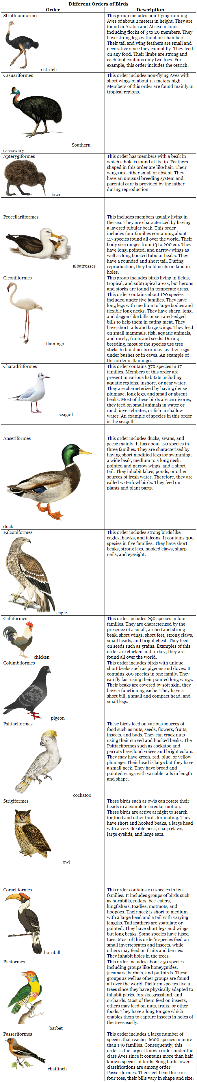 Aves: Overview - Zoology Optional Notes for UPSC PDF Download