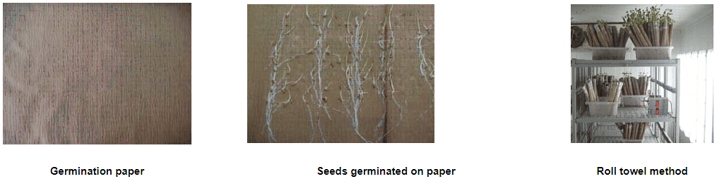 Physical Purity and Seed Germination Test - Agriculture Optional Notes ...