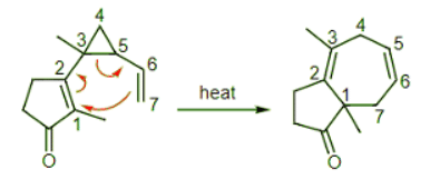 Sigmatropic Rearrangements: Cope, Oxy-Cope and Claisen - Chemistry ...