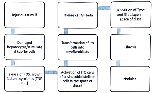 CML: Pathology - Medical Science Optional Notes for UPSC PDF Download