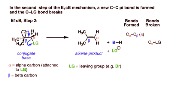 E1cb Reaction and mechanism - Chemistry Optional Notes for UPSC PDF ...