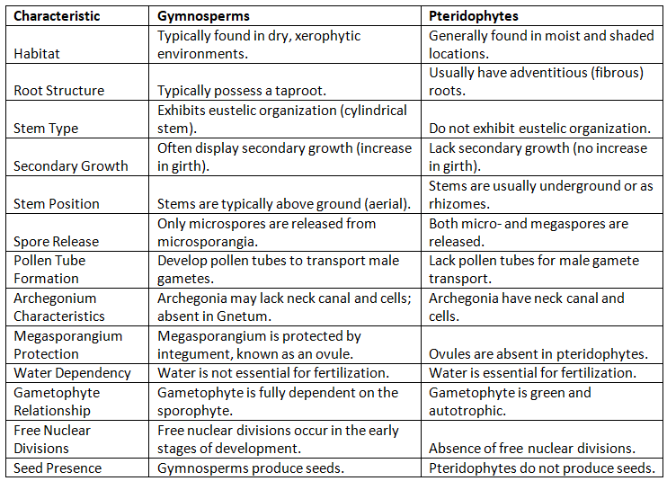 Classification of Gymnosperms - Botany Optional for UPSC PDF Download