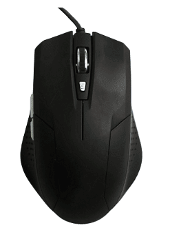 Notes: Computer Mouse - Cyber Olympiad Class 1 PDF Download