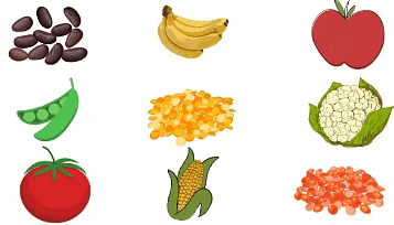 Food Chapter Notes - Science Olympiad for Class 3 PDF Download