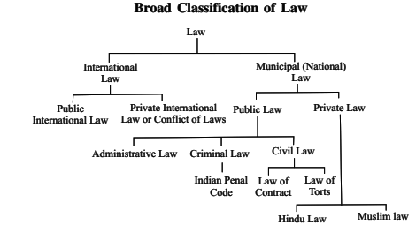 Classification of Law - Legal Studies for Class 11 - Humanities/Arts ...