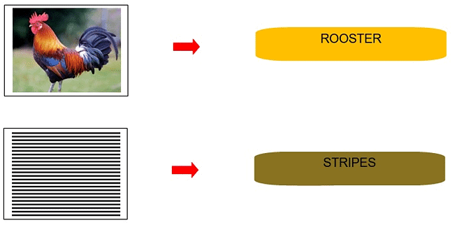 Making and Identifying Word from a Picture - English Olympiad for Class ...