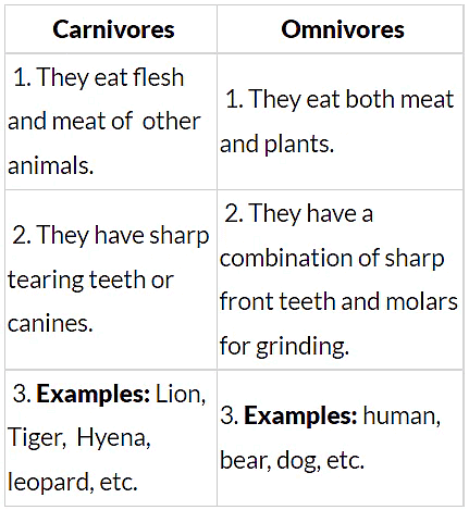 Food - Where does it Come from? Class 6 Worksheet Science