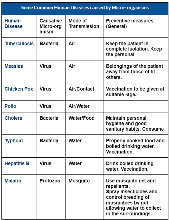 Microorganisms: Friend and Foe Class 8 Notes Science Chapter 2 Free PDF