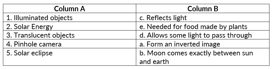 Light, Shadow and Reflections Class 6 Worksheet Science Chapter 8