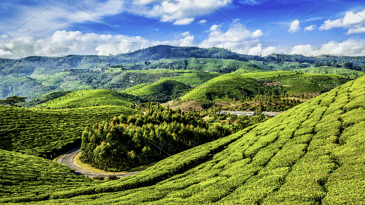 Structural Change Class 12 Sociology