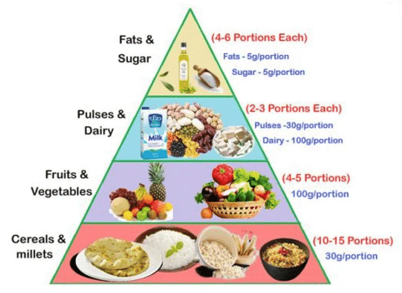 Food, Nutrition, Health and Diseases Class 5 Notes Science Free PDF
