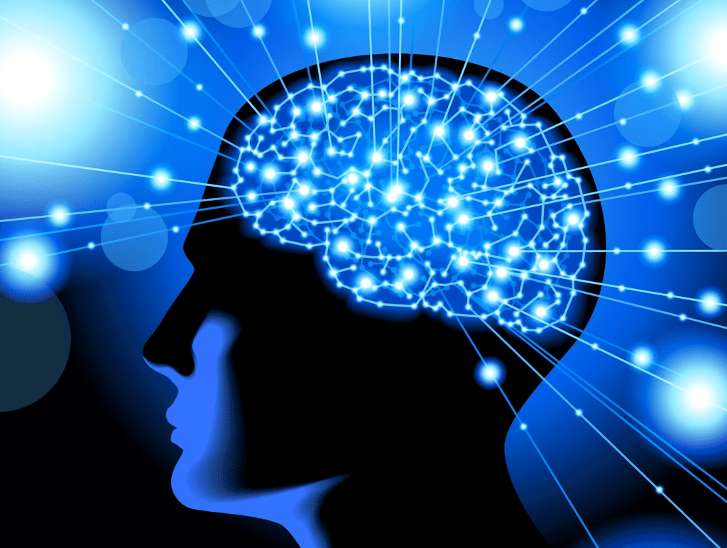 (Part - 1) - Variations in Psychological Attributes Class 12 Psychology