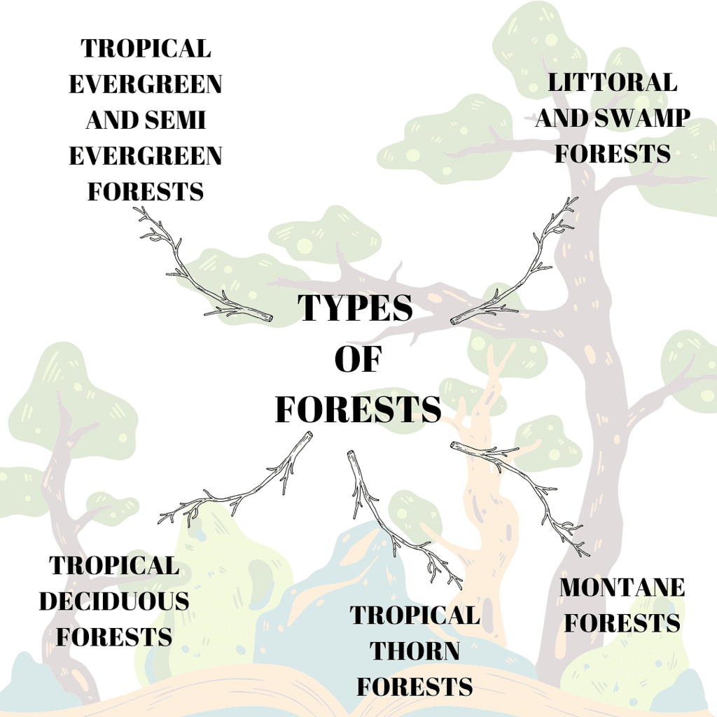 Natural Vegetation Class 11 Geography