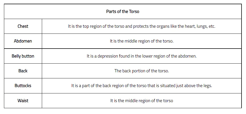 Our Body Class 1 Notes EVS Free PDF