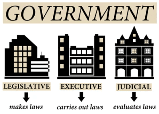 Executive Class 11 Political Science