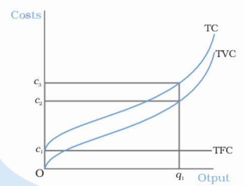 Concept of Supply (Producer Behaviour and Supply) Class 12 Economics