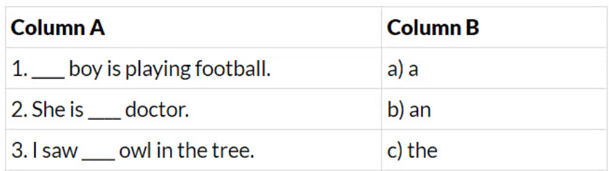 Articles Class 6 Worksheet English Grammar