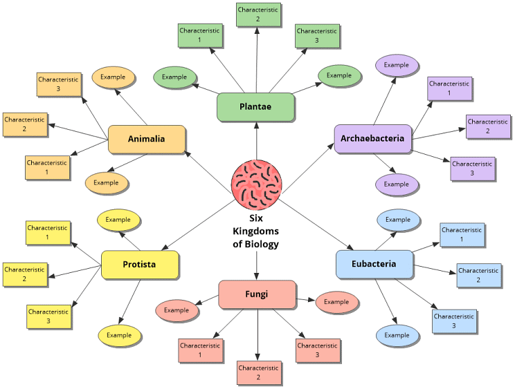 How to Use Mind Maps for Class 10? PDF Download
