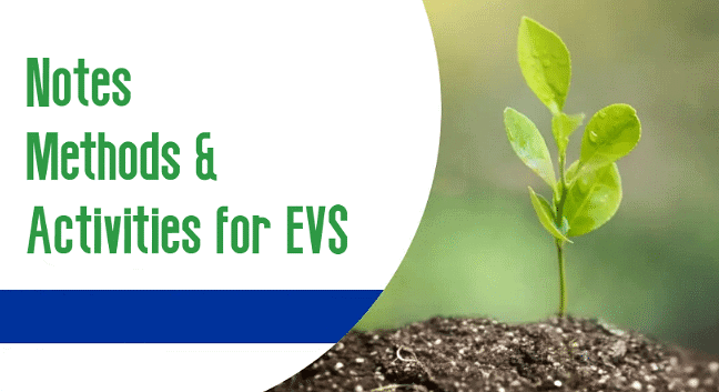 Notes: Methods and Activities for EVS - EVS and Pedagogy Paper 1 for ...