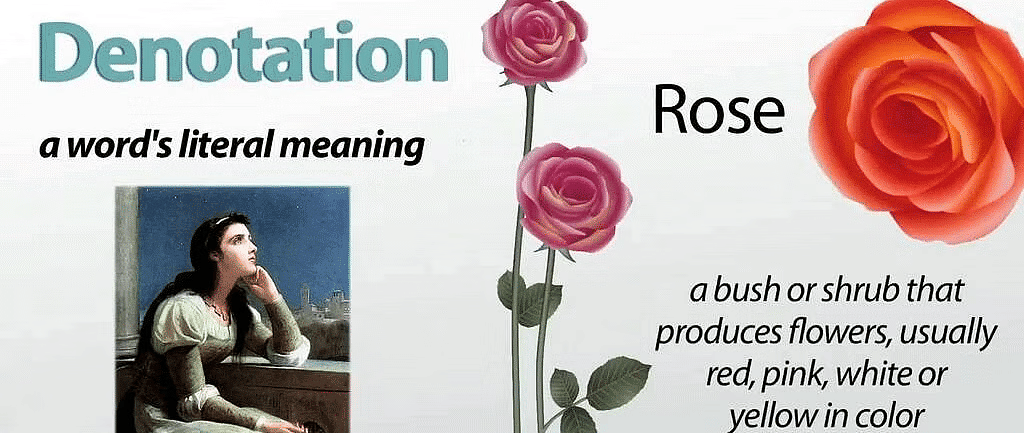 Notes: Connotations and Denotations - Logical Reasoning for UGC NET PDF ...