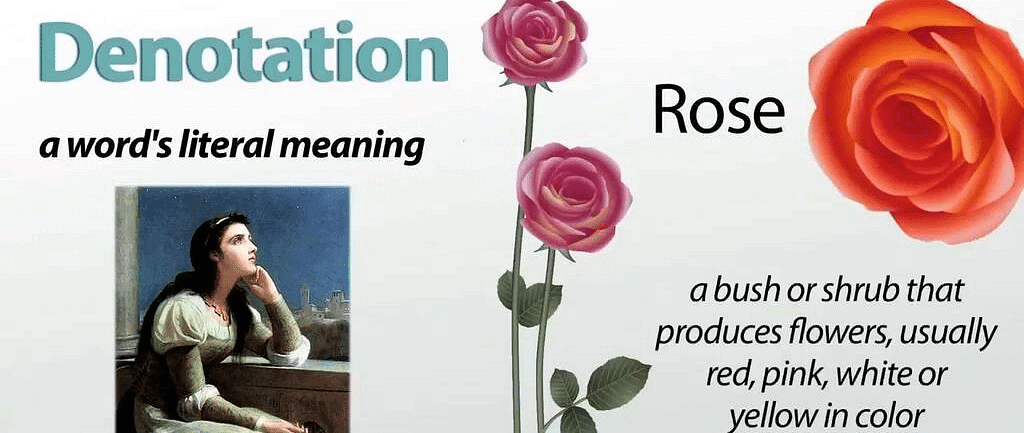 Notes: Connotations and Denotations - UGC NET PDF Download