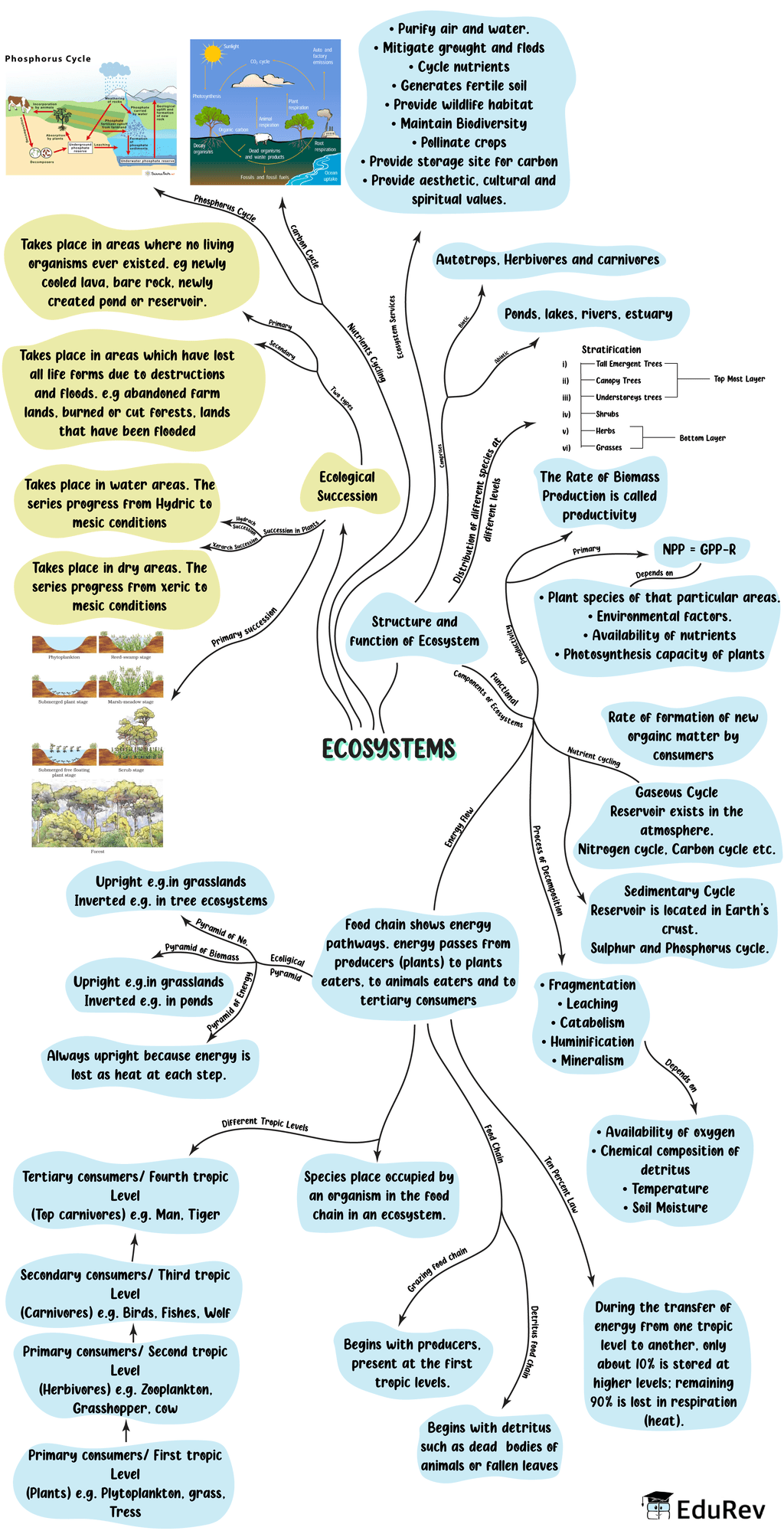 Mindmap: Ecosystems - Biology Class 12 - NEET PDF Download