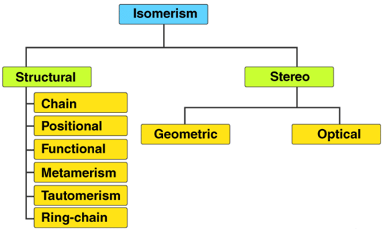 Isomerism in Alkanes, Alkenes and Alkynes - Chemistry Class 11 - NEET ...