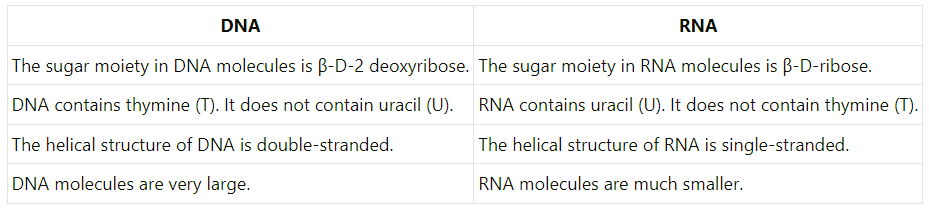 NCERT Solutions Class 11 Biology Chapter 9 - Biomolecules