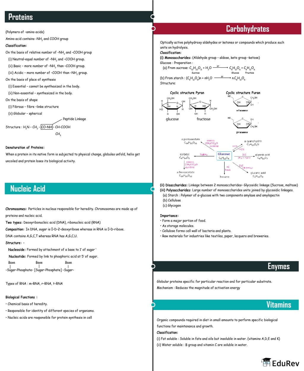 Mindmap Biomolecules Chemistry Class 12 Neet Pdf Download