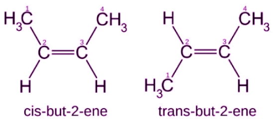 Isomerism in Alkanes, Alkenes and Alkynes - Chemistry Class 11 - NEET ...