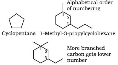 Nomenclature of Organic Compounds - Chemistry Class 11 - NEET PDF Download