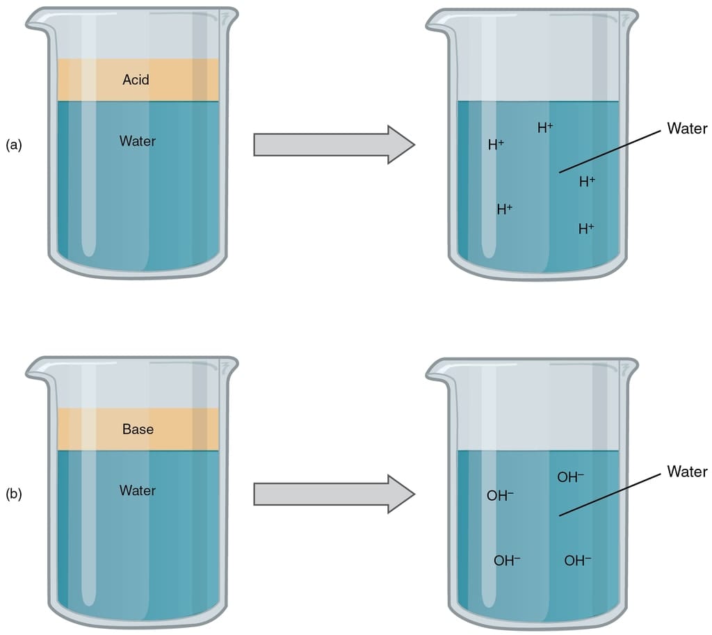 Acidity and Basicity of Organic Compounds - Chemistry for JEE Main and ...
