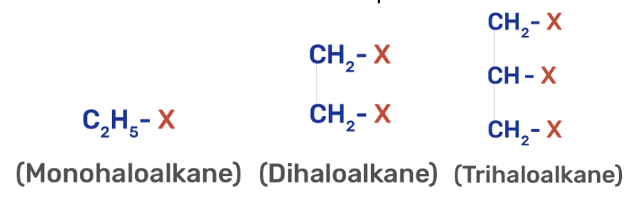 Classification and Nomenclature of Haloalkanes and Haloarenes - Chemistry Class 12 - NEET PDF ...
