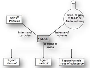 MOLE CONCEPT - Class 11 PDF Download