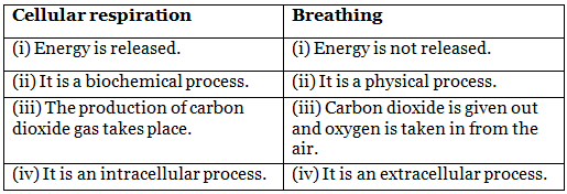 Class 7 Science Chapter 6 Question Answers - Respiration in Organisms